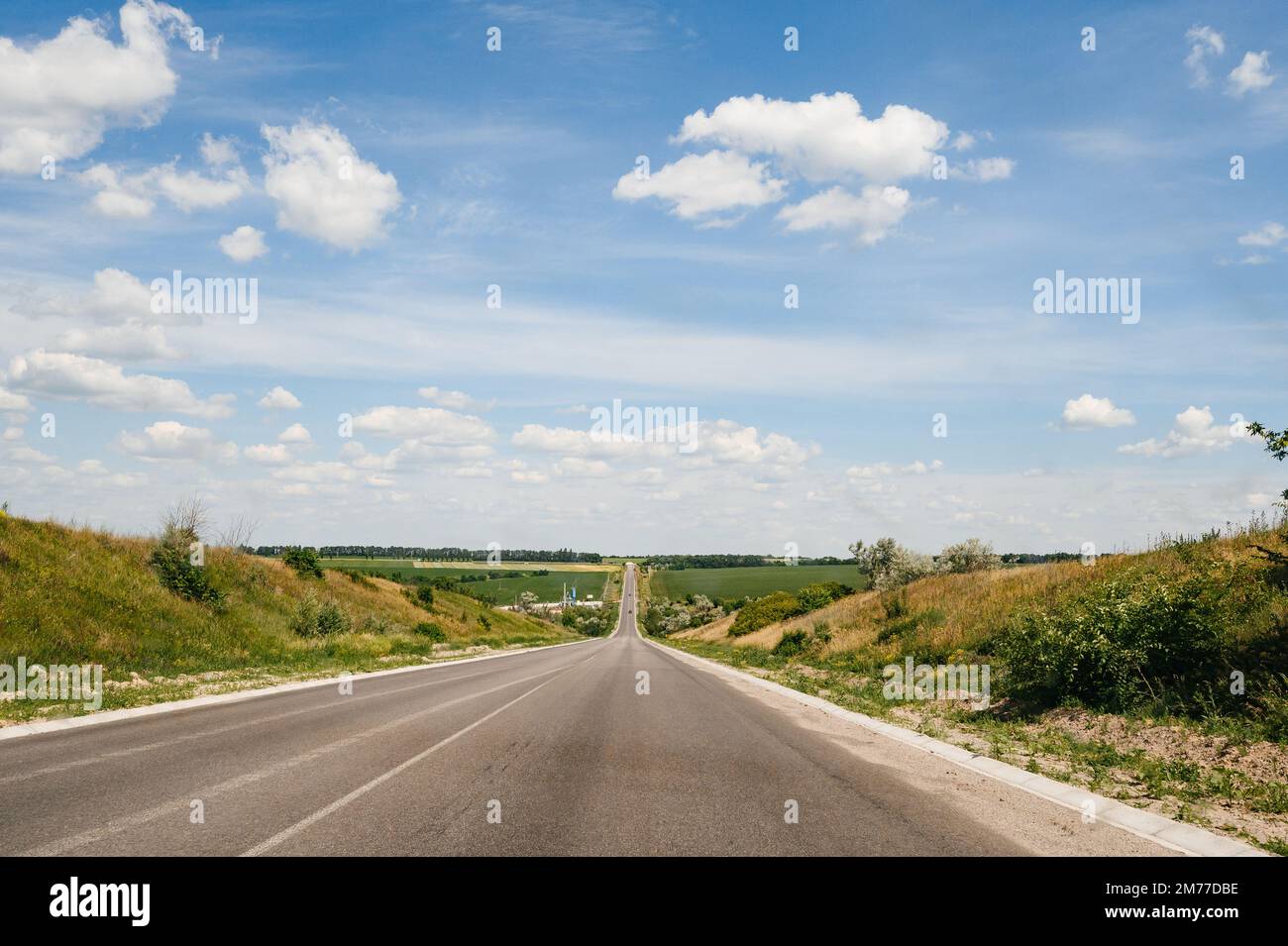 Motor transport routes between trees laid asphalt in Ukraine pre -war ...