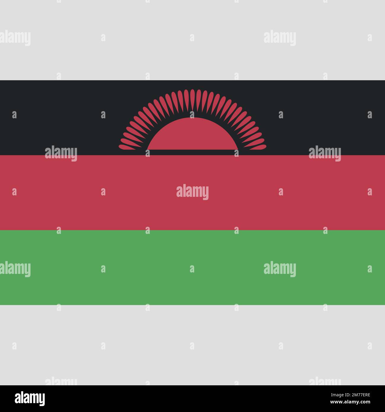 original and simple Malawi present flag isolated vector in official ...