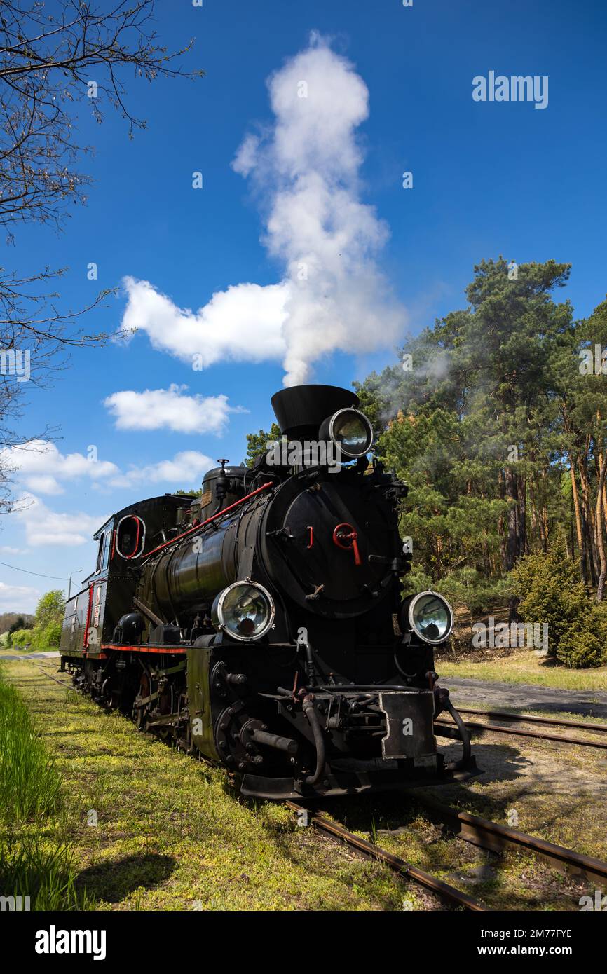 A narrow-gauge railway steam locomotive standing under steam on a ...