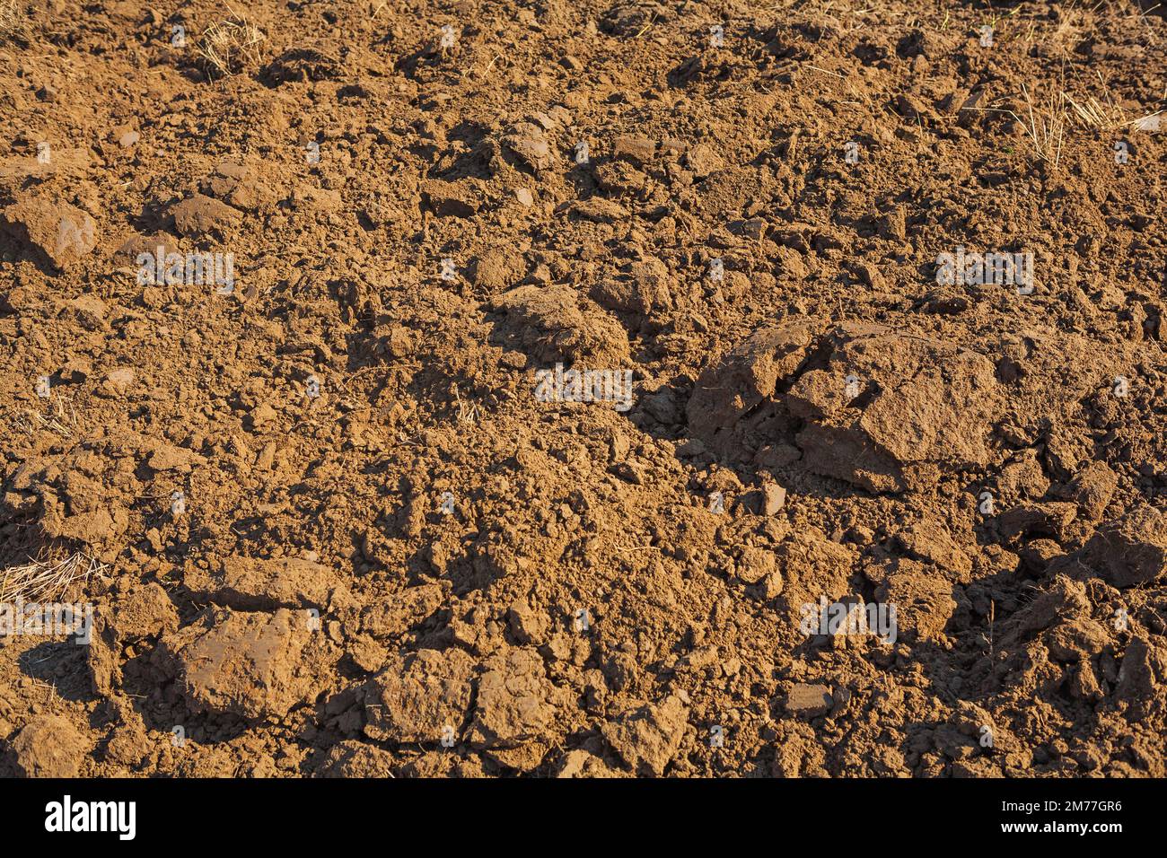 texture of fresh plouged ground in spring Stock Photo - Alamy