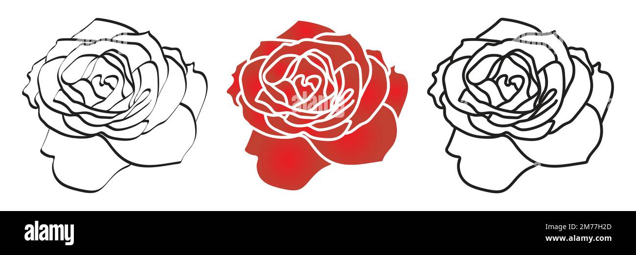Red Rose and Outline Flower Illustration Isolated on White Background ...