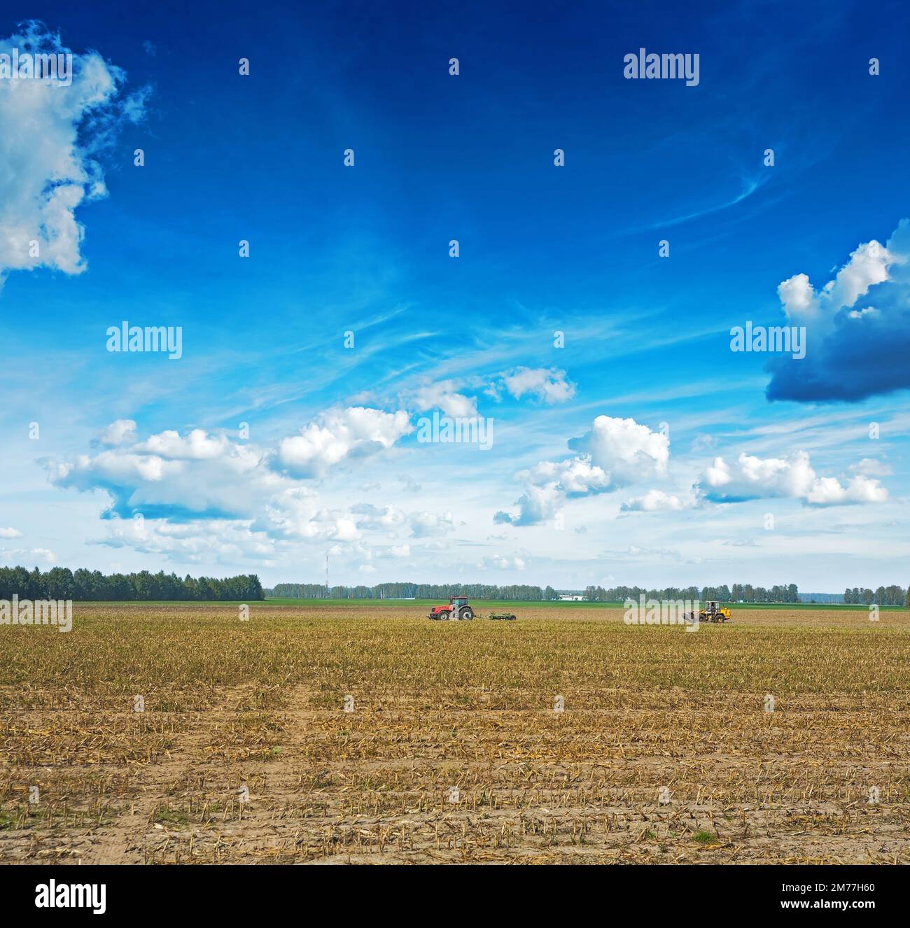tractors processing field after harvesting agricultural concept Stock ...