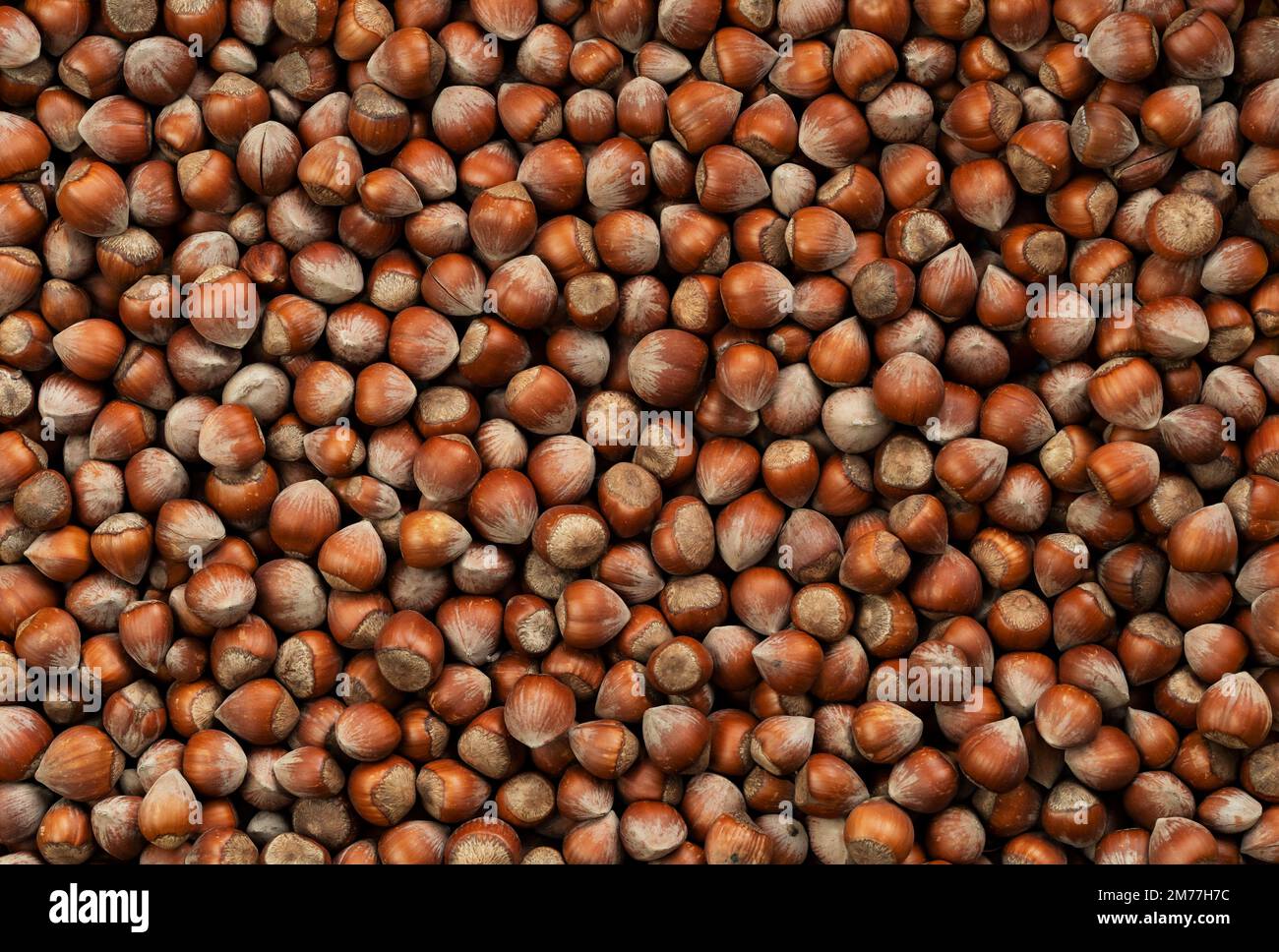 Hazel wood texture hi-res stock photography and images - Alamy