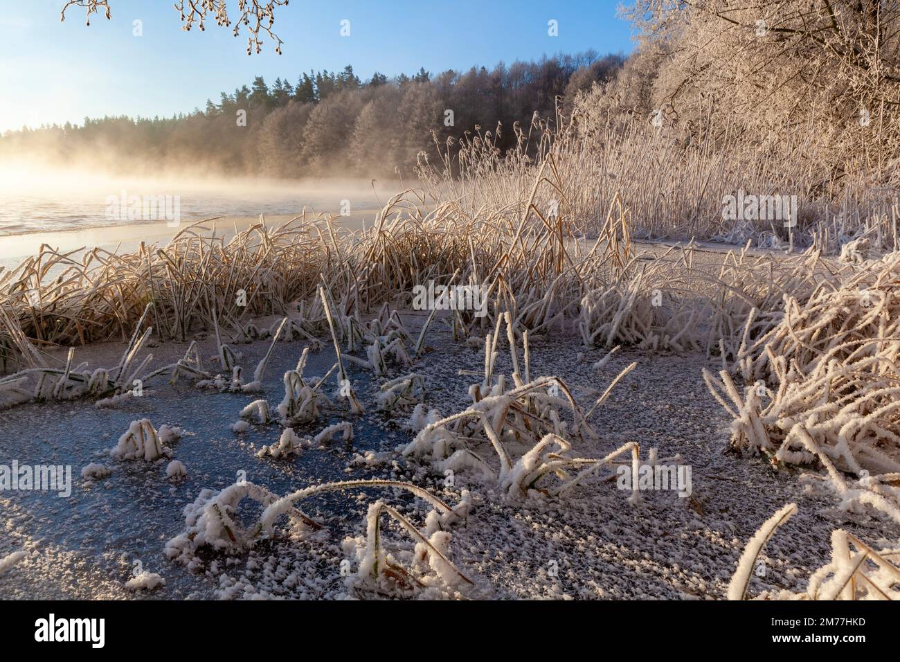 Winter in Warmia and Mazury, Poland Stock Photo - Alamy