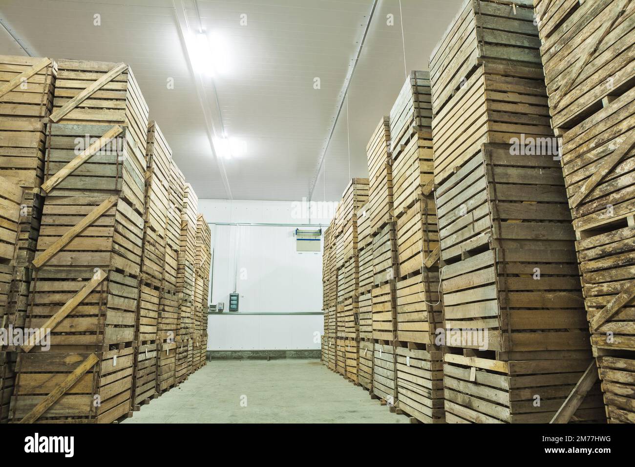 view on crates of potato in storage house Stock Photo - Alamy