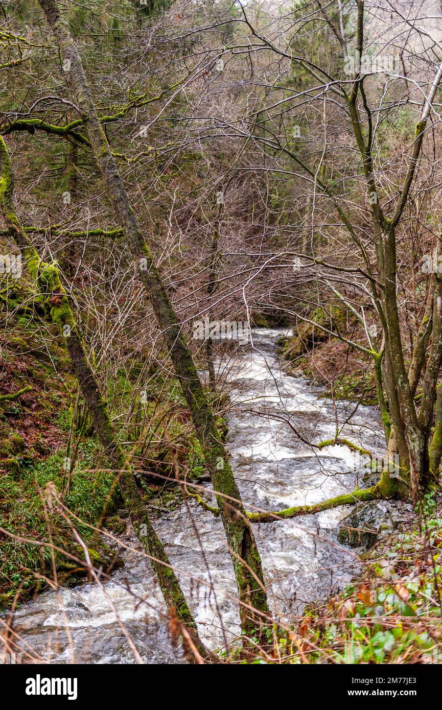 A small river flowing through the belgian ardennes on an early winter ...
