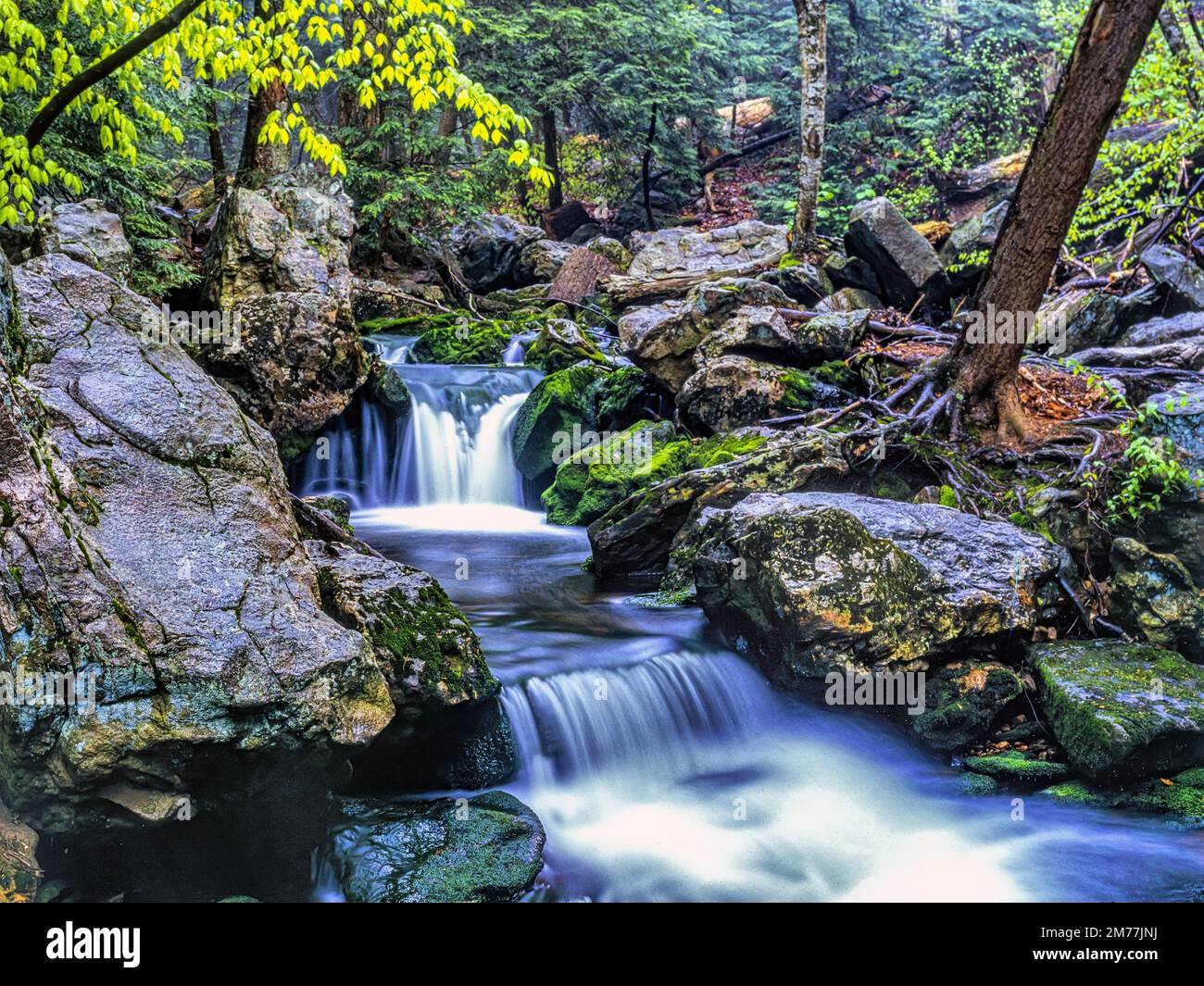 waterfall in New Hanpshire forest in spring Stock Photo - Alamy