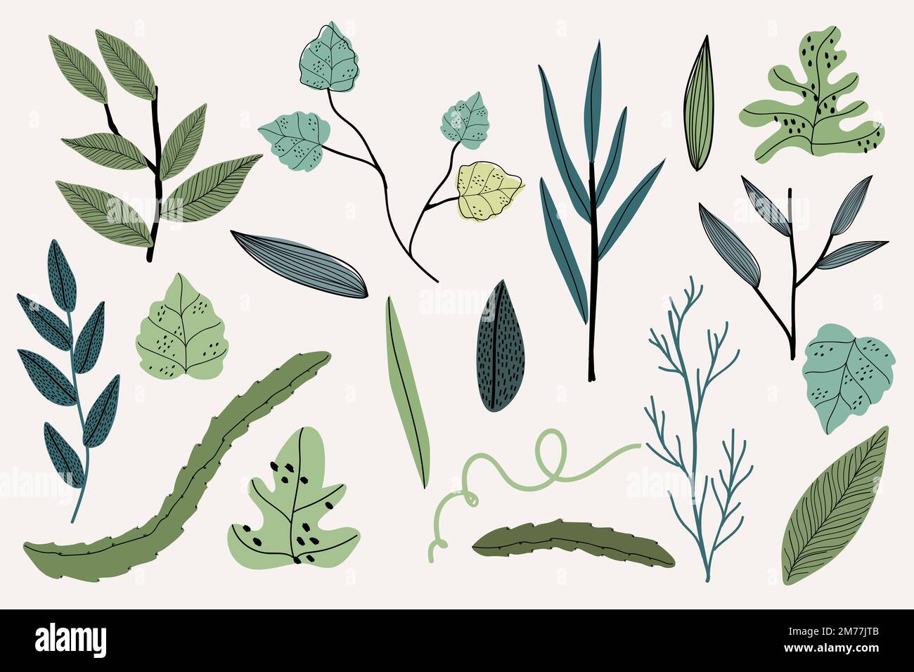 Leaf elements on a beige background vector Stock Vector Image & Art - Alamy