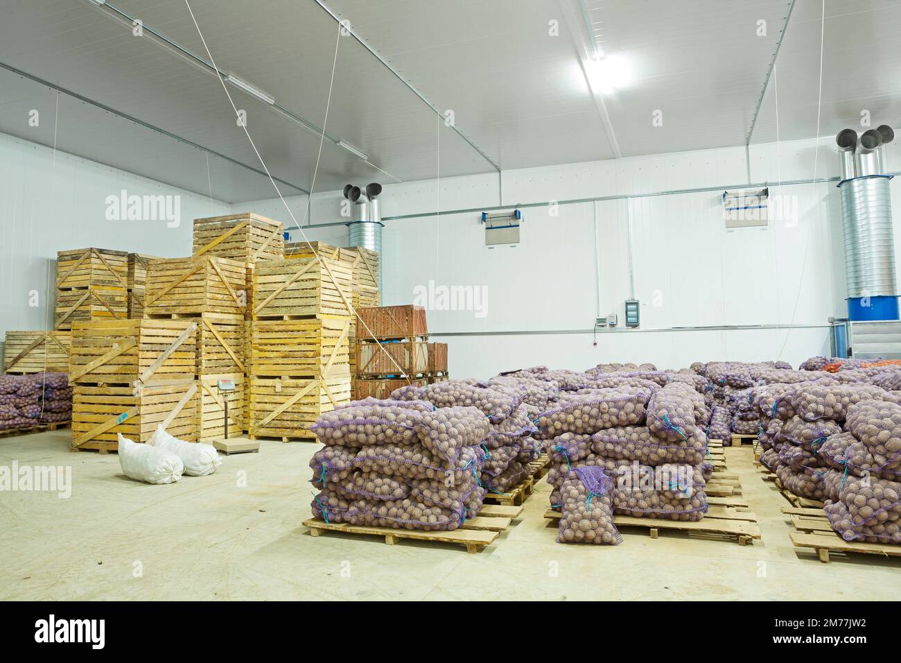 warehouse view on potato in crates and bags Stock Photo - Alamy