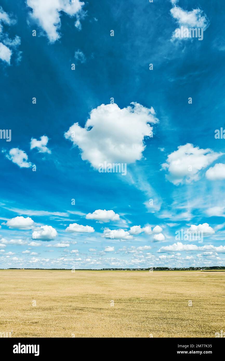 wheat field and sky view from height Stock Photo - Alamy