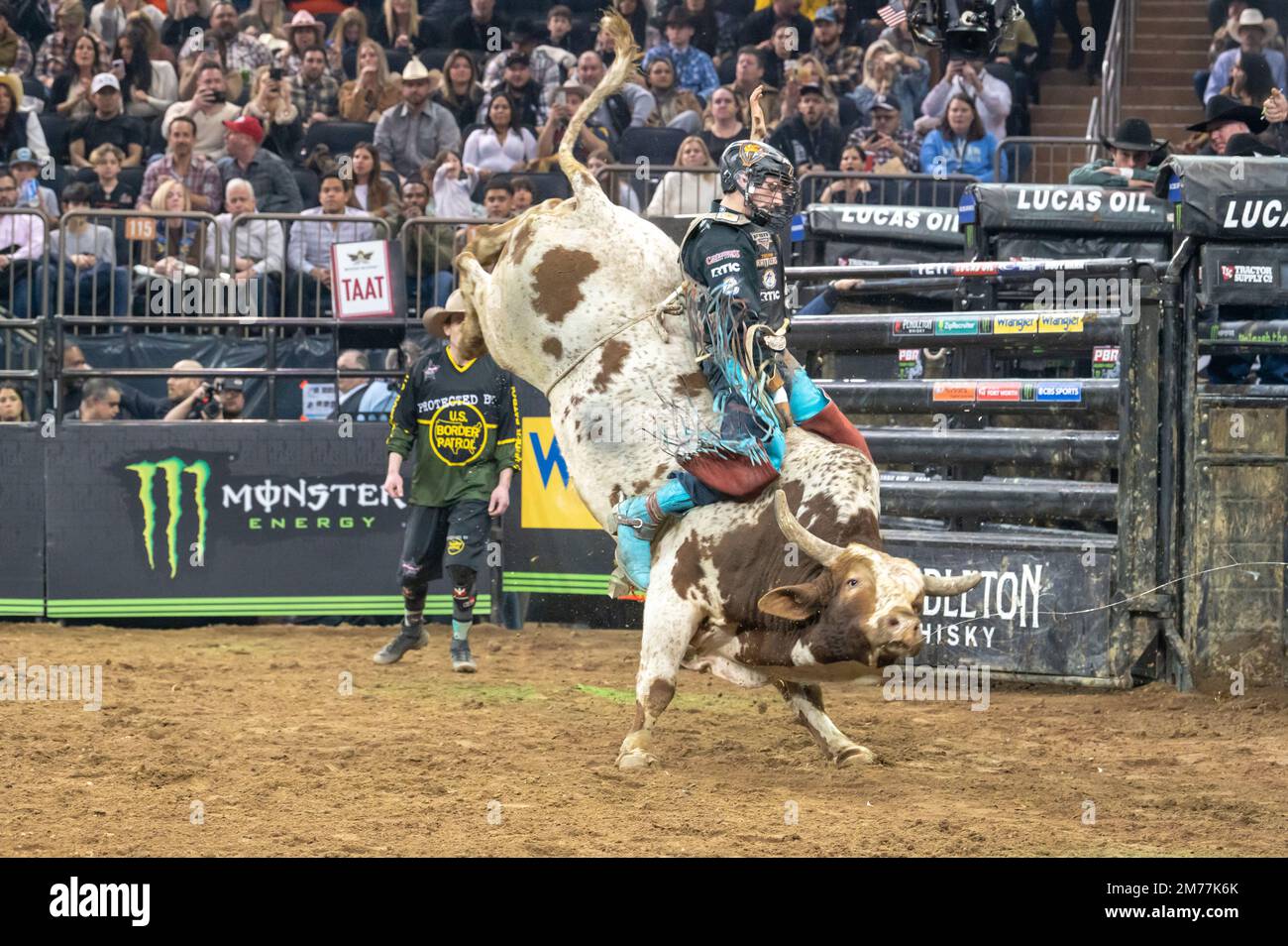 New York, United States. 07th Jan, 2023. Braidy Randolph rides Hog Wild ...