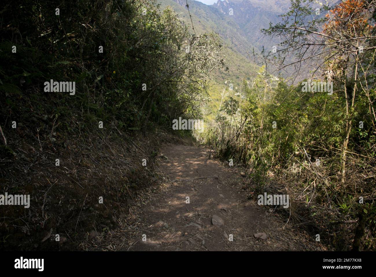 Hike through the Apurímac canyon to the ruins of Choquequirao, an Inca ...