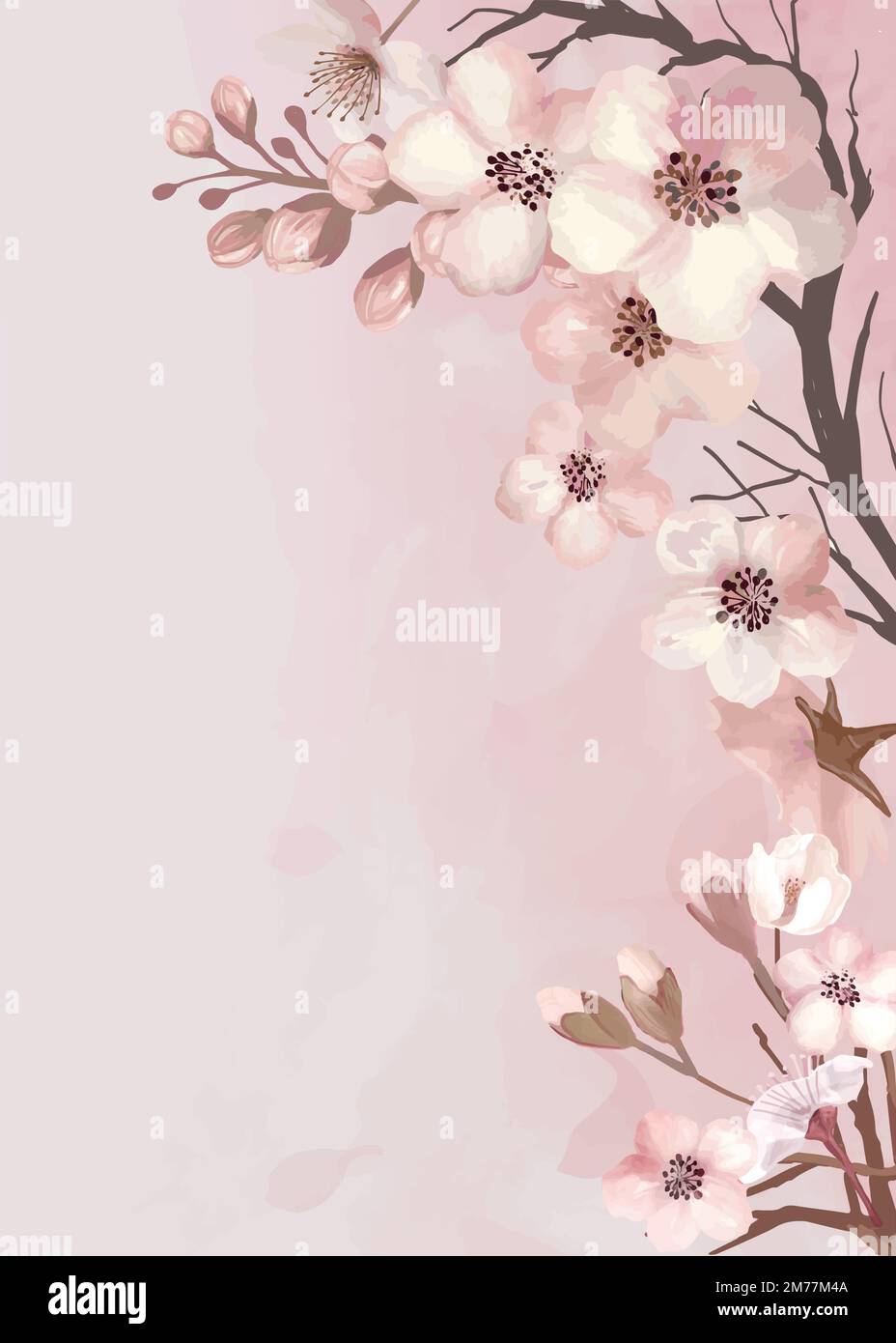 Hand drawn cherry blossoms on a pink background vector Stock Vector ...