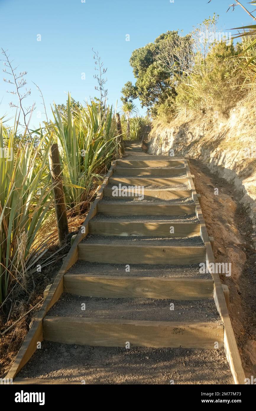 Wooden steps on track up Mount Maunganui at sunrise Stock Photo - Alamy