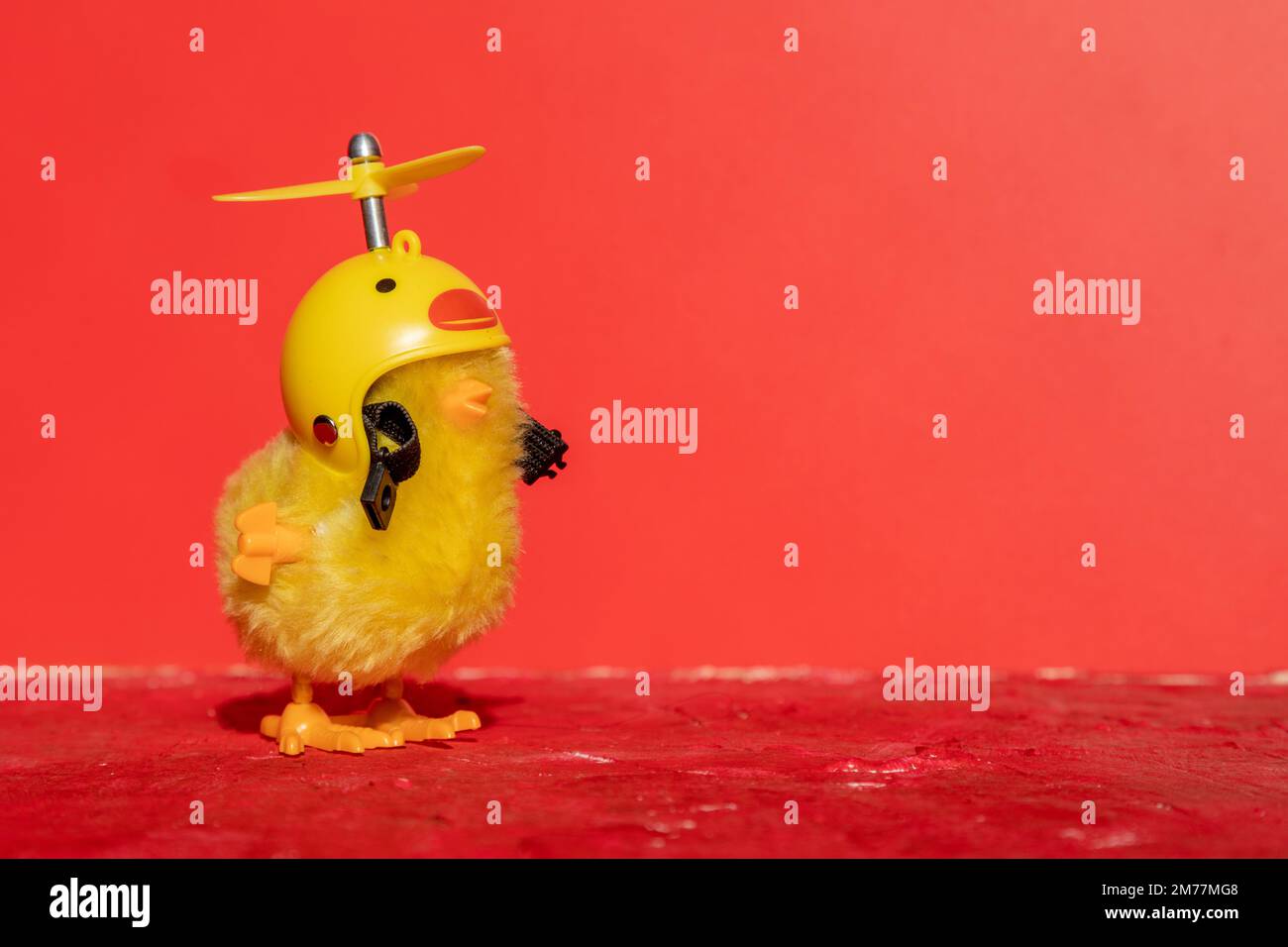 Cute little chick in a helmet is alone on a red background. Conceptual ...