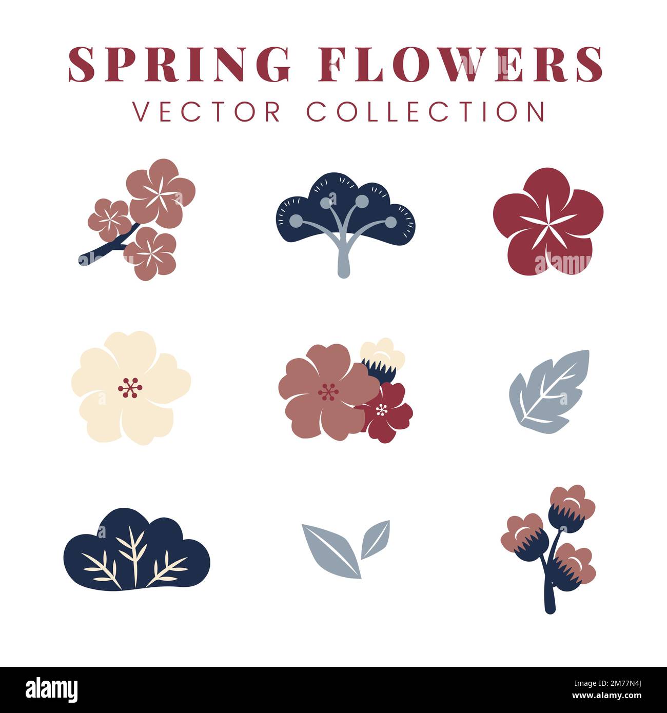 Colorful spring flowers vector collection Stock Vector Image & Art - Alamy