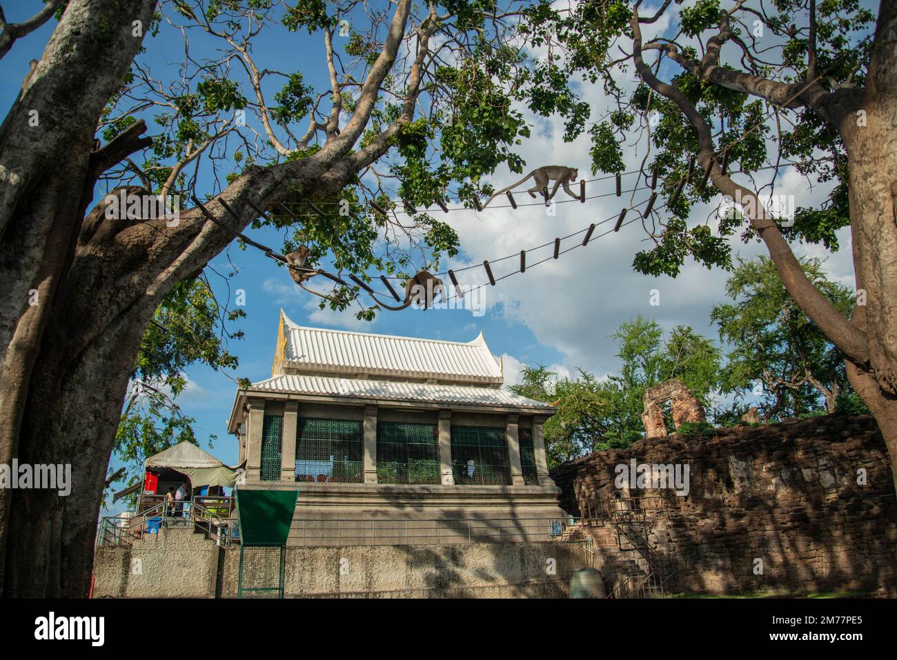the ruins of the Wat San Phra Kan in the City of Lopburi in the ...