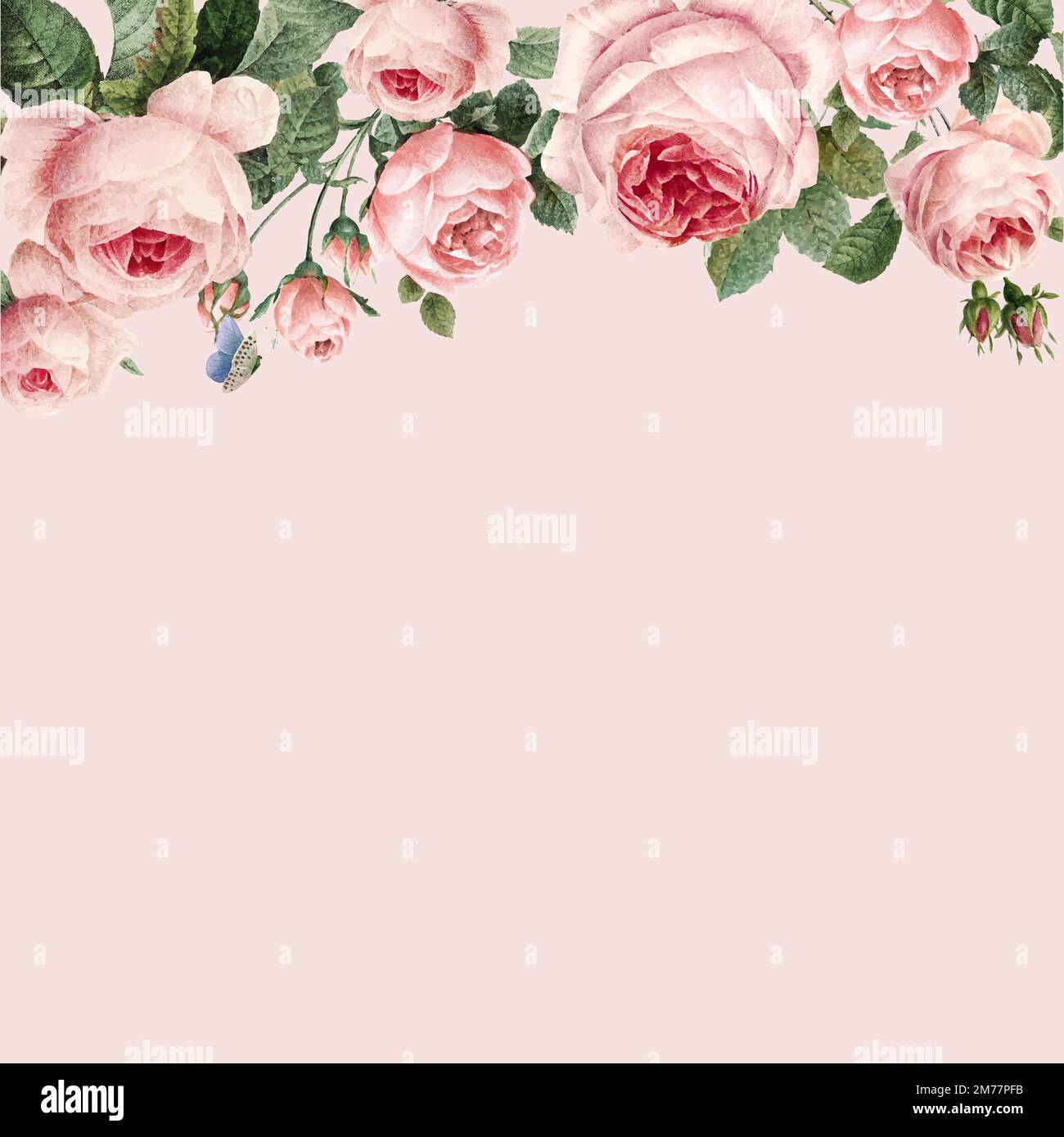 Hand drawn pink roses frame on pastel pink background vector Stock ...