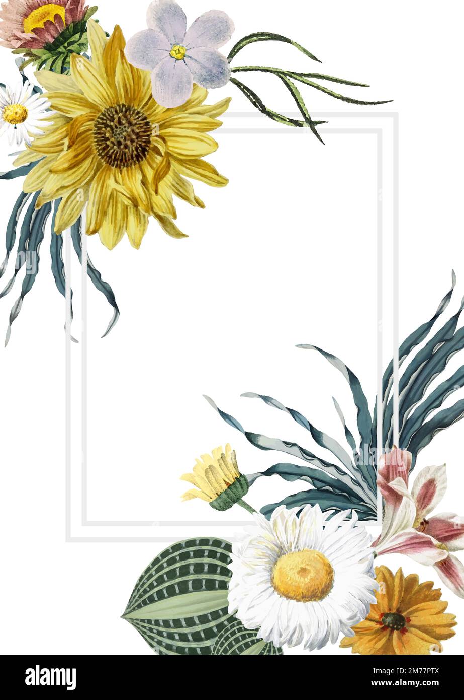 Floral framed invitation card vector Stock Vector Image & Art - Alamy