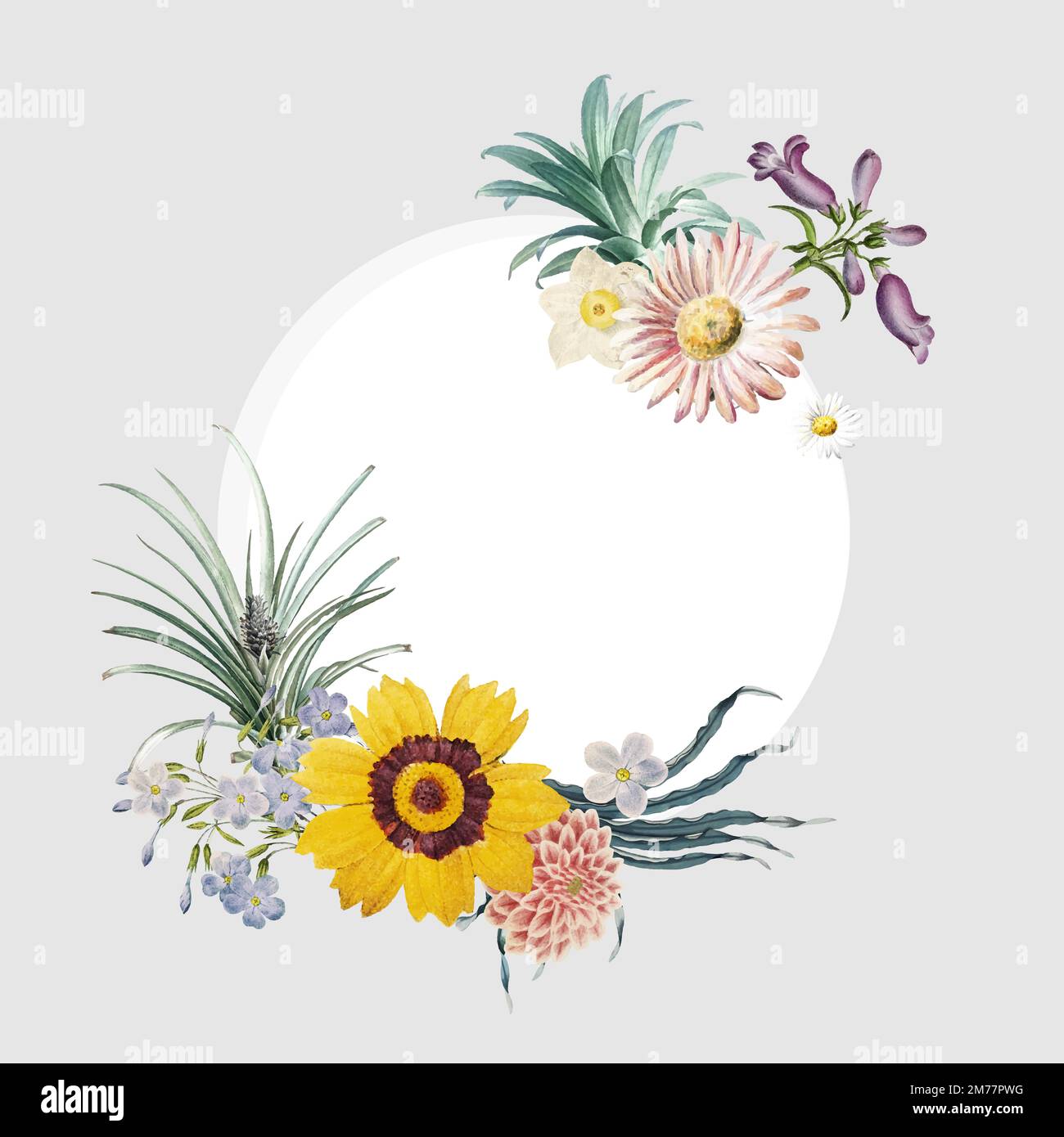Frame decorated with flowers vector Stock Vector Image & Art - Alamy