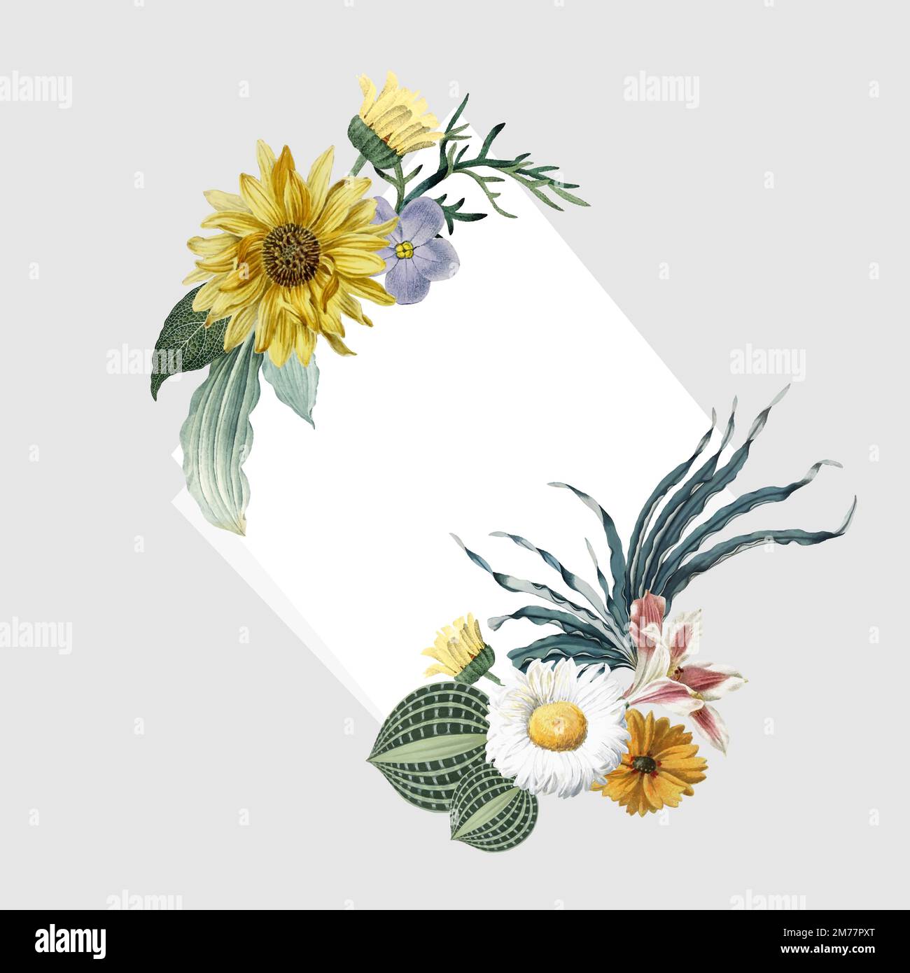 Frame decorated with flowers vector Stock Vector Image & Art - Alamy