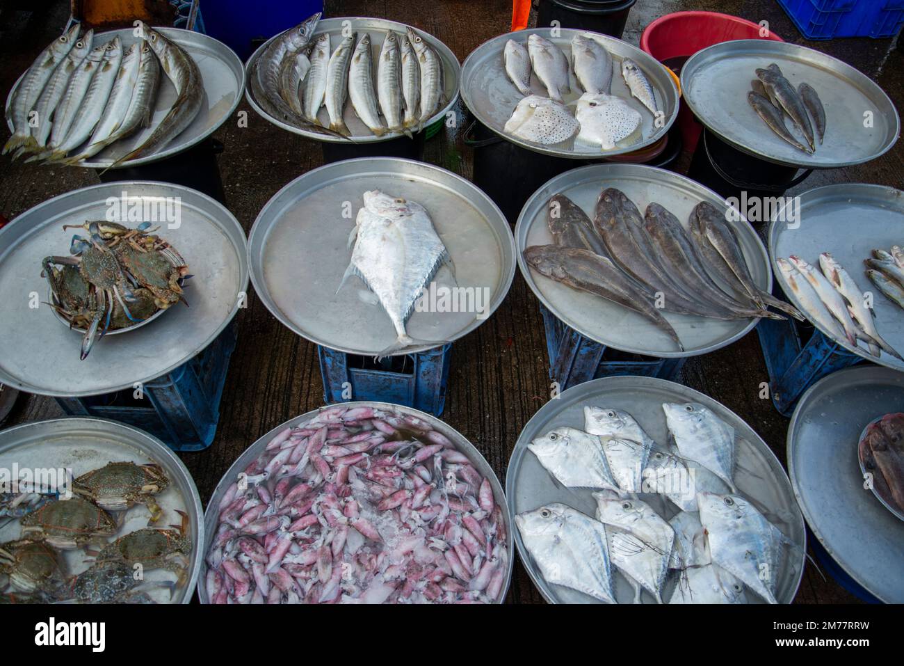 the fish and seafood market in the City centre of Si Racha in the ...