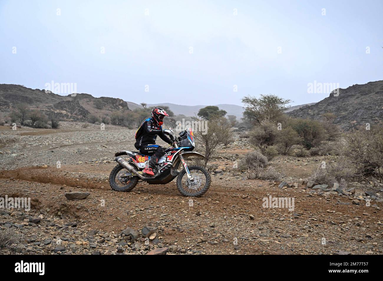 48 PEDREDO GARCIA Joan (spa), Rieju Team, KTM, Moto, Original by Motul ...