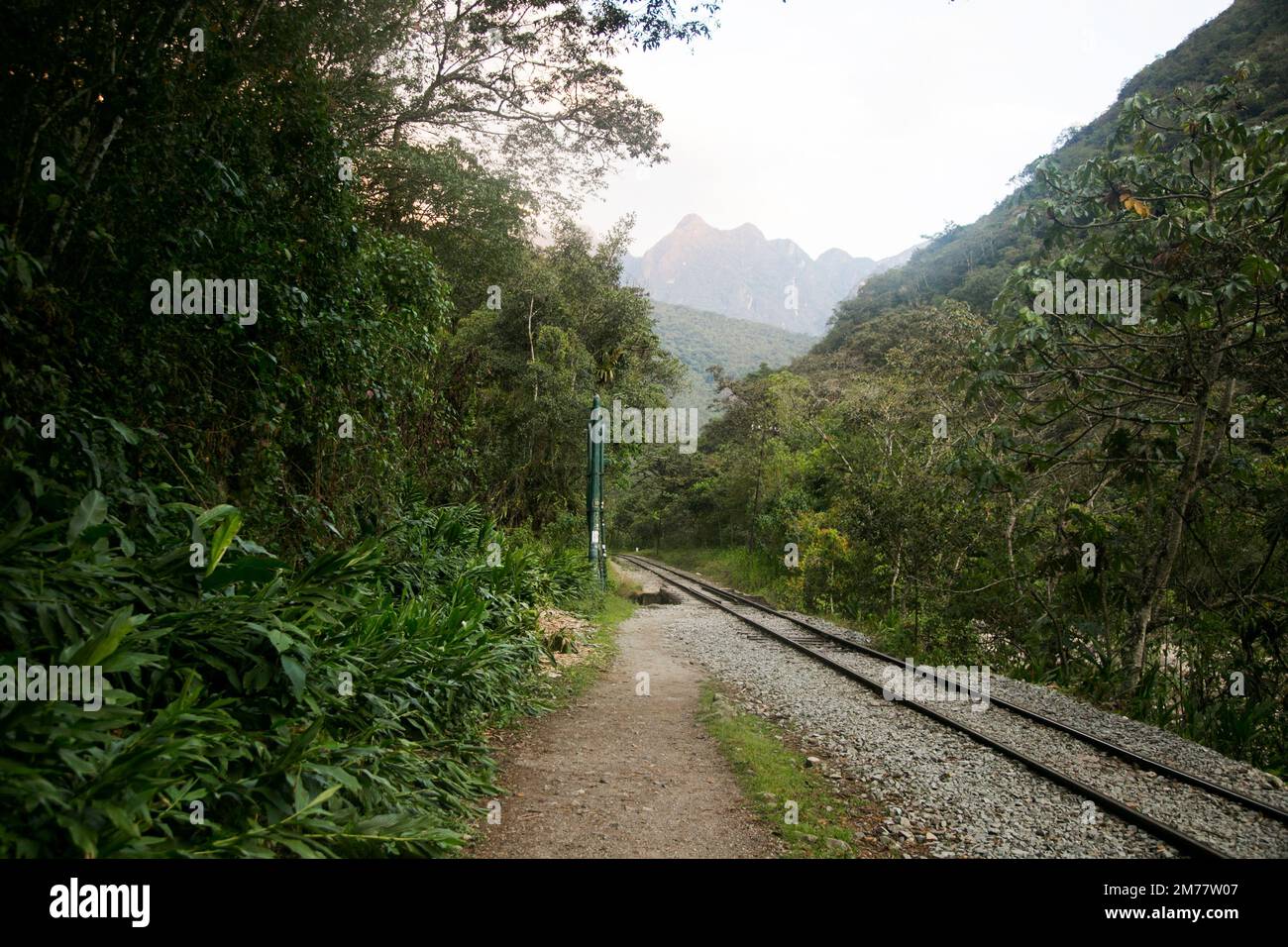 Hiking from Santa Teresa Hidroeléctrica to Aguas Calientes to reach ...