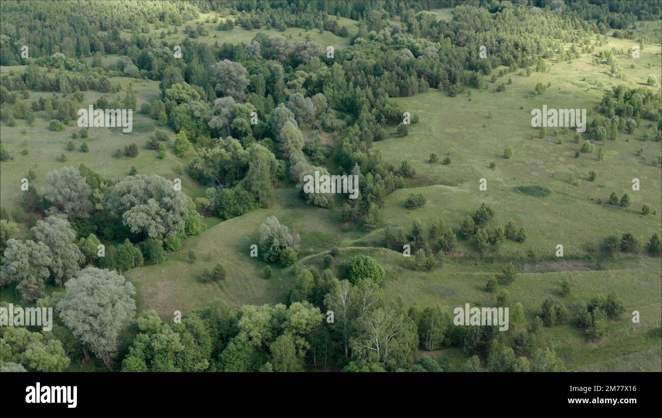 Beautiful views of the green expanses and the convent. Russian nature ...