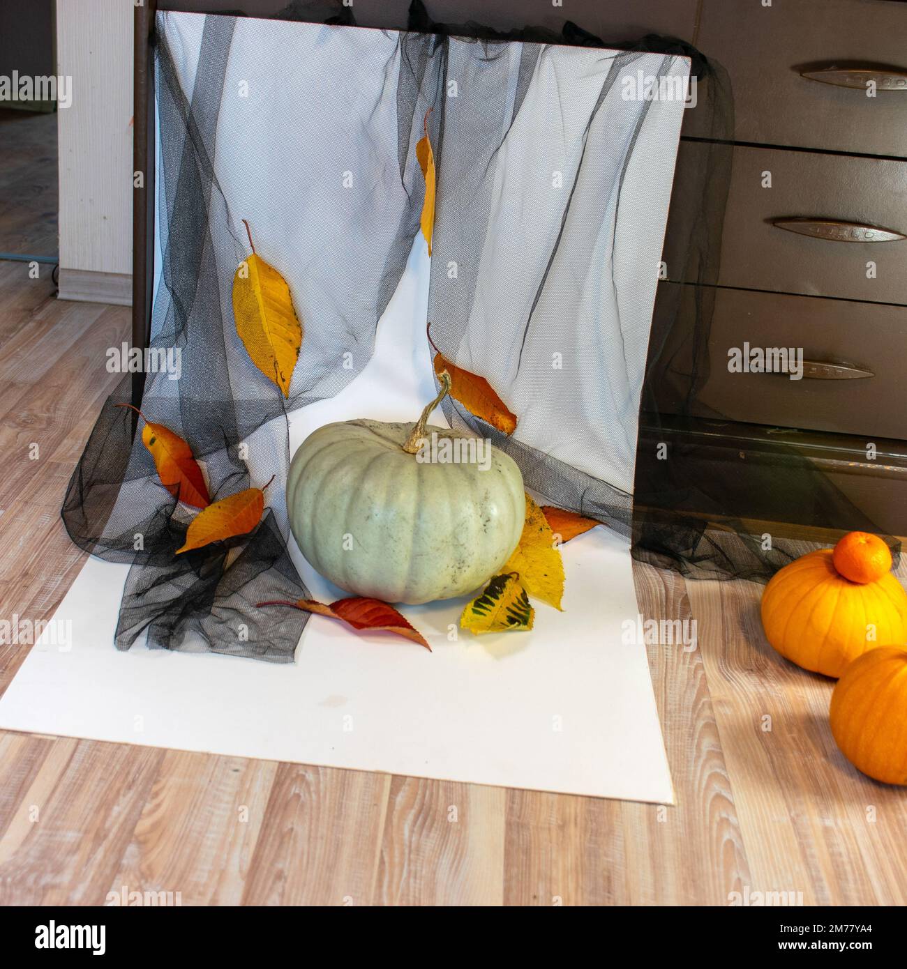 still life with pumpkins on a background of colorful leaves, autumn ...