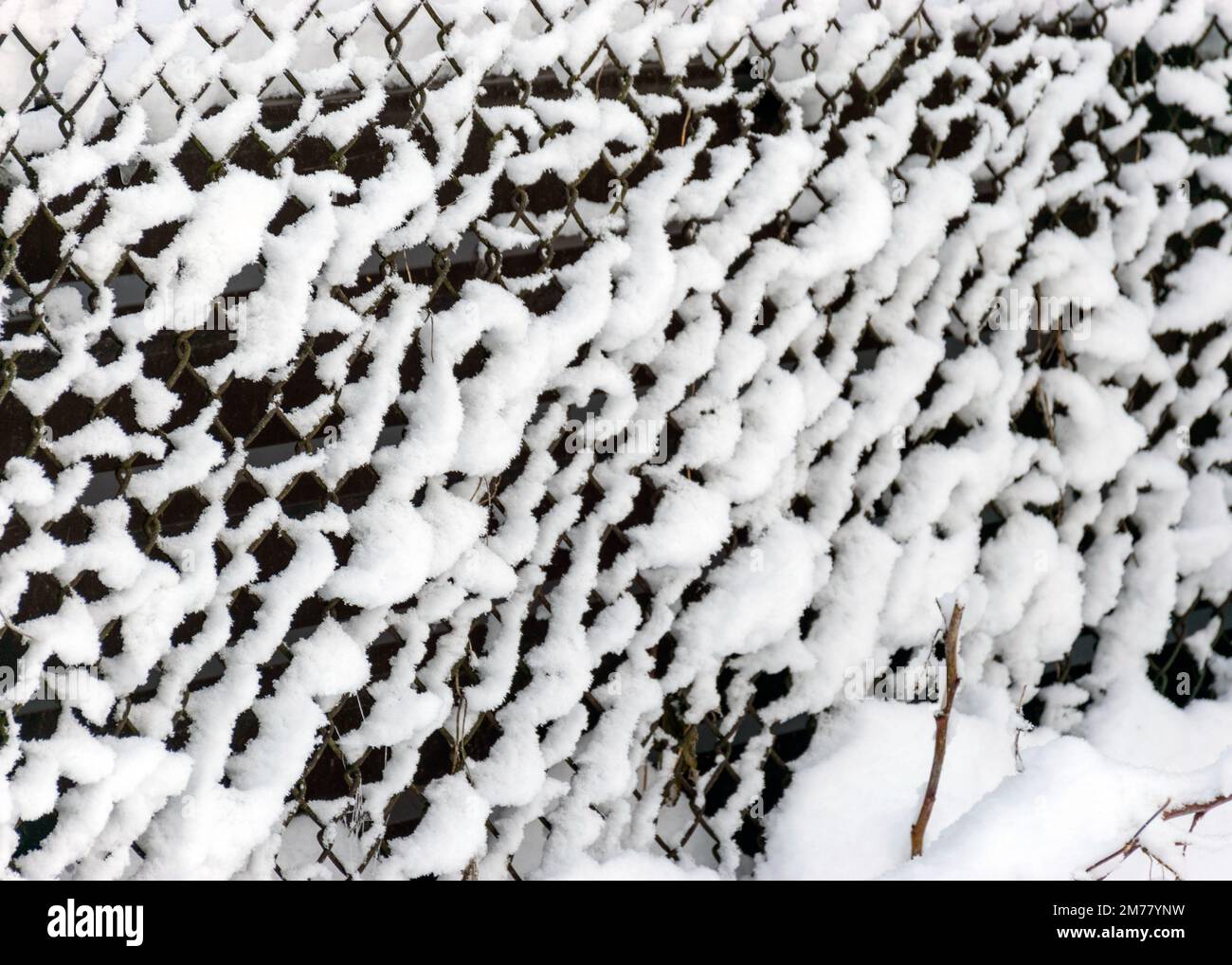 beautiful snow and frost artwork on a checkered garden fence, winter ...