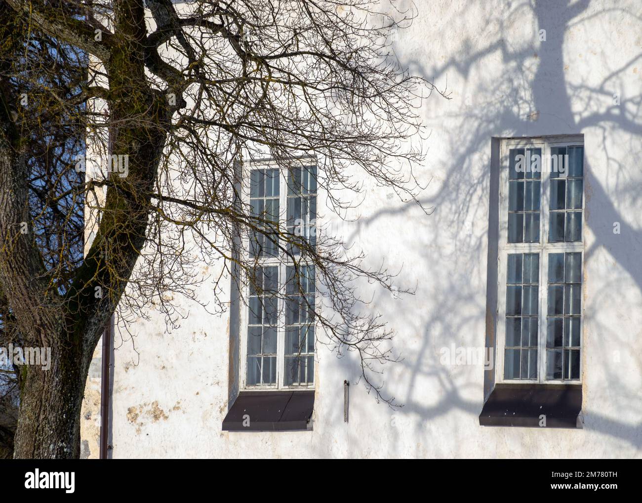white wall with windows, shadow play from trees on the wall, sunny ...