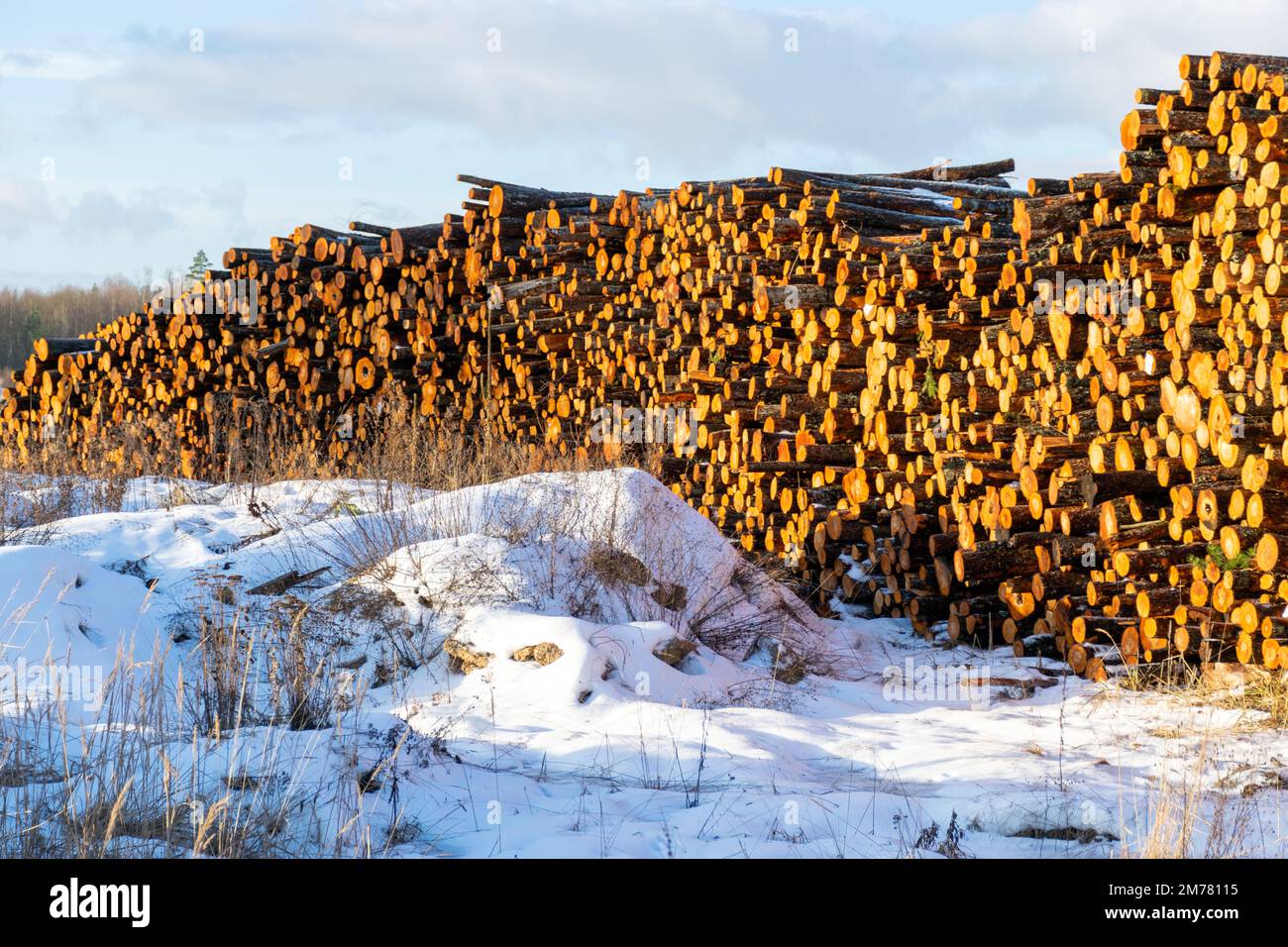 beautiful, colorful firewood stack, stacked logs for transport to the ...