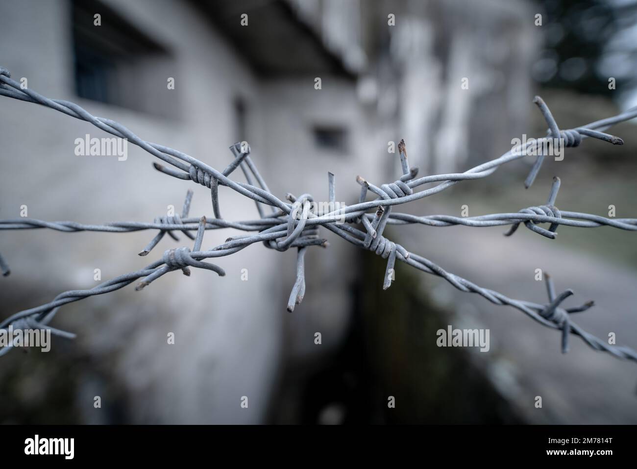 Prisoner detail hi-res stock photography and images - Alamy