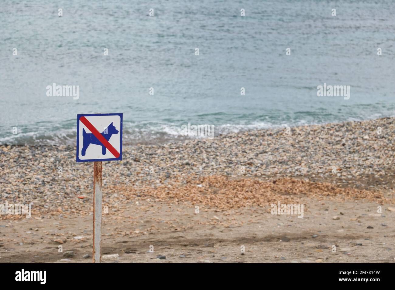 No dogs sign on Las Negras beach on a cloudy day Stock Photo - Alamy