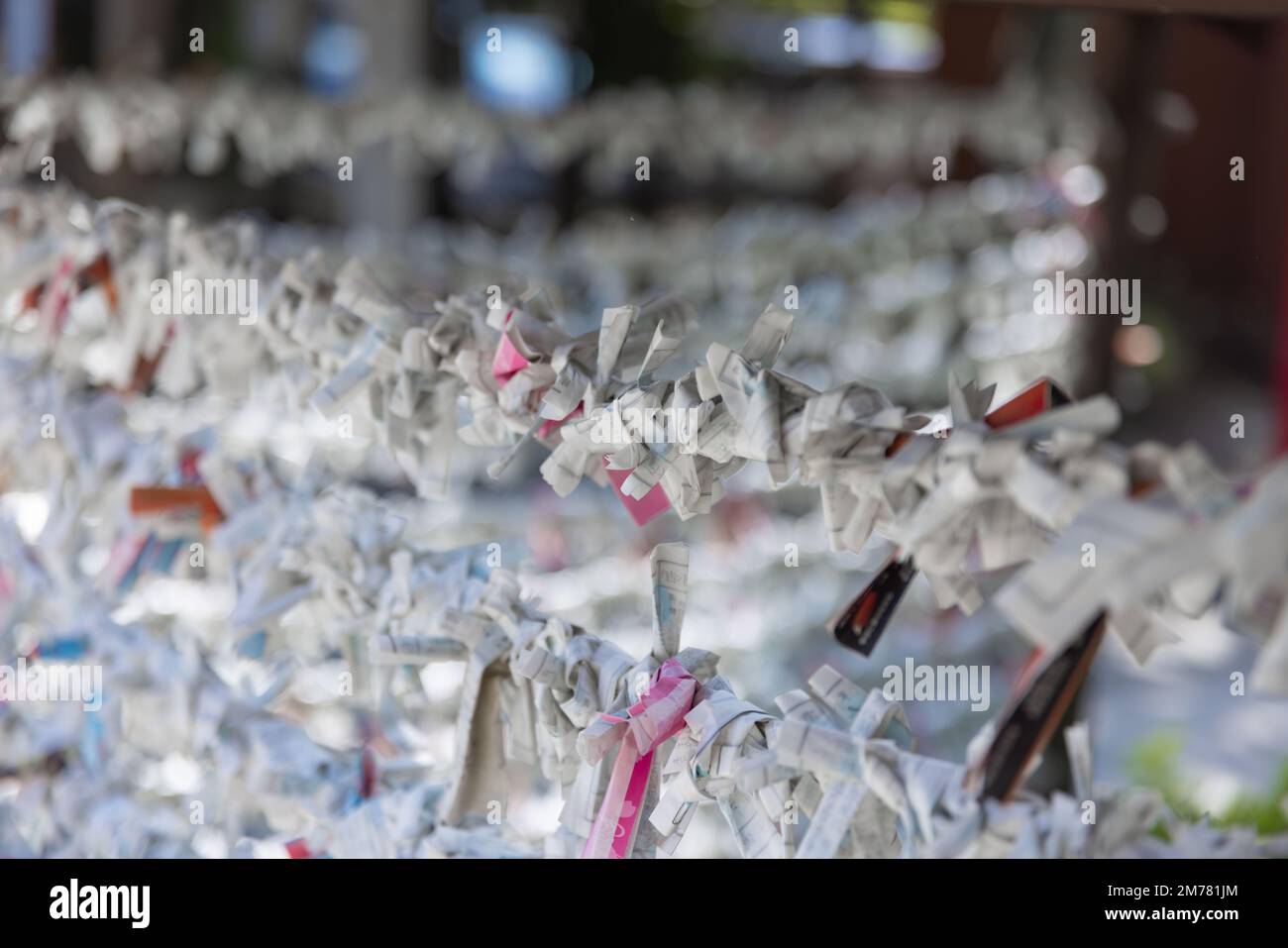 A fortune telling slip at Tomioka Shrine closeup Stock Photo - Alamy