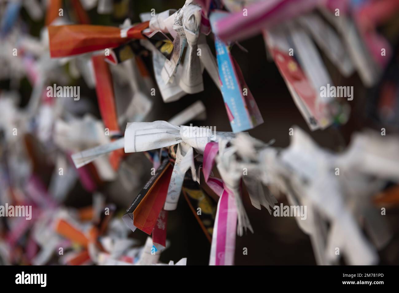 A fortune telling slip at Tomioka Shrine closeup Stock Photo - Alamy