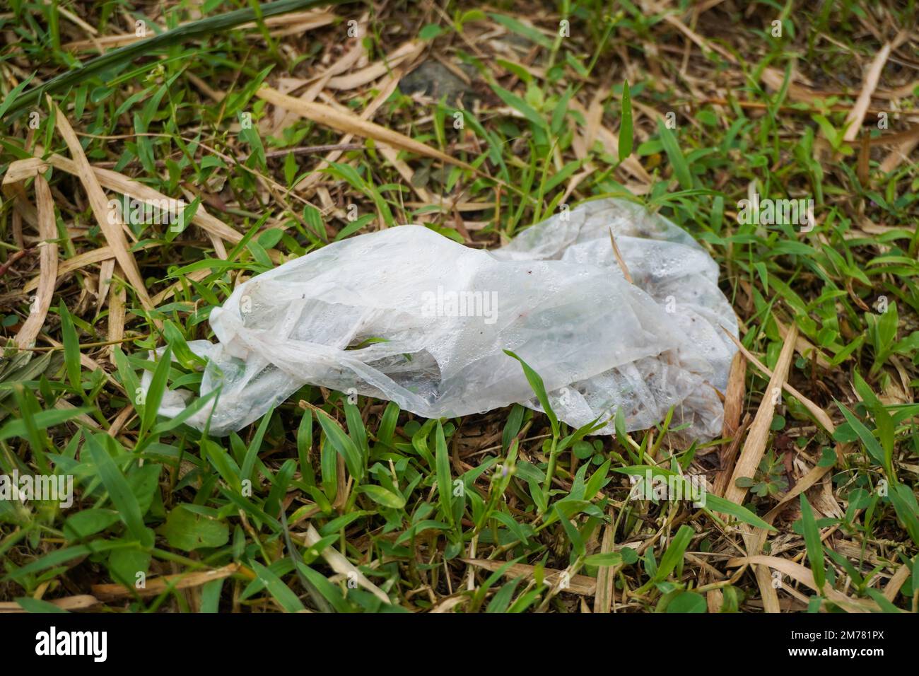 Plastic Waste on top of green grass in the middle of nature close up ...