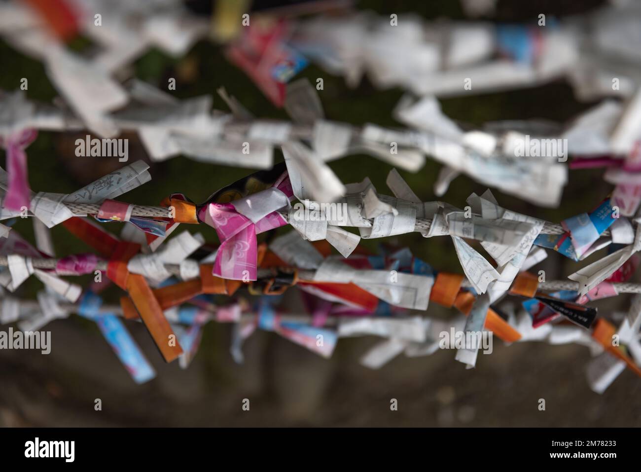 A fortune telling slip at Tomioka Shrine closeup Stock Photo - Alamy