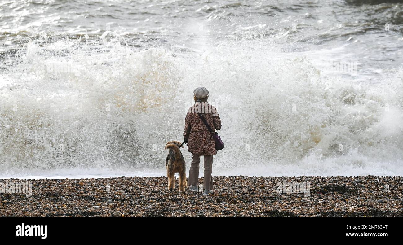 Brighton UK 8th January 2023 - A dog walker watches the huge waves ...
