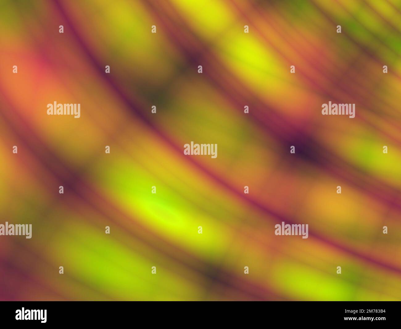 Spider web colorful fantasy illustration background Stock Photo - Alamy