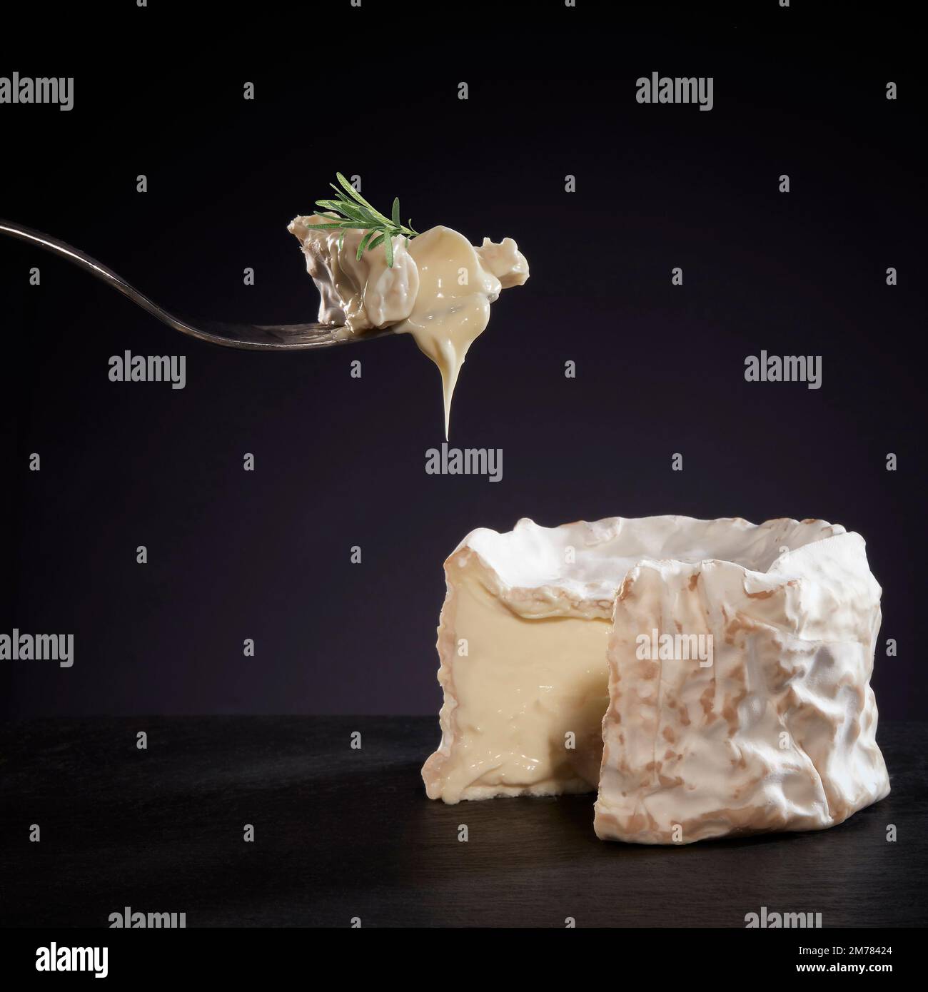 A closeup of cooked camembert cheese on a fork with rosemary on a dark ...