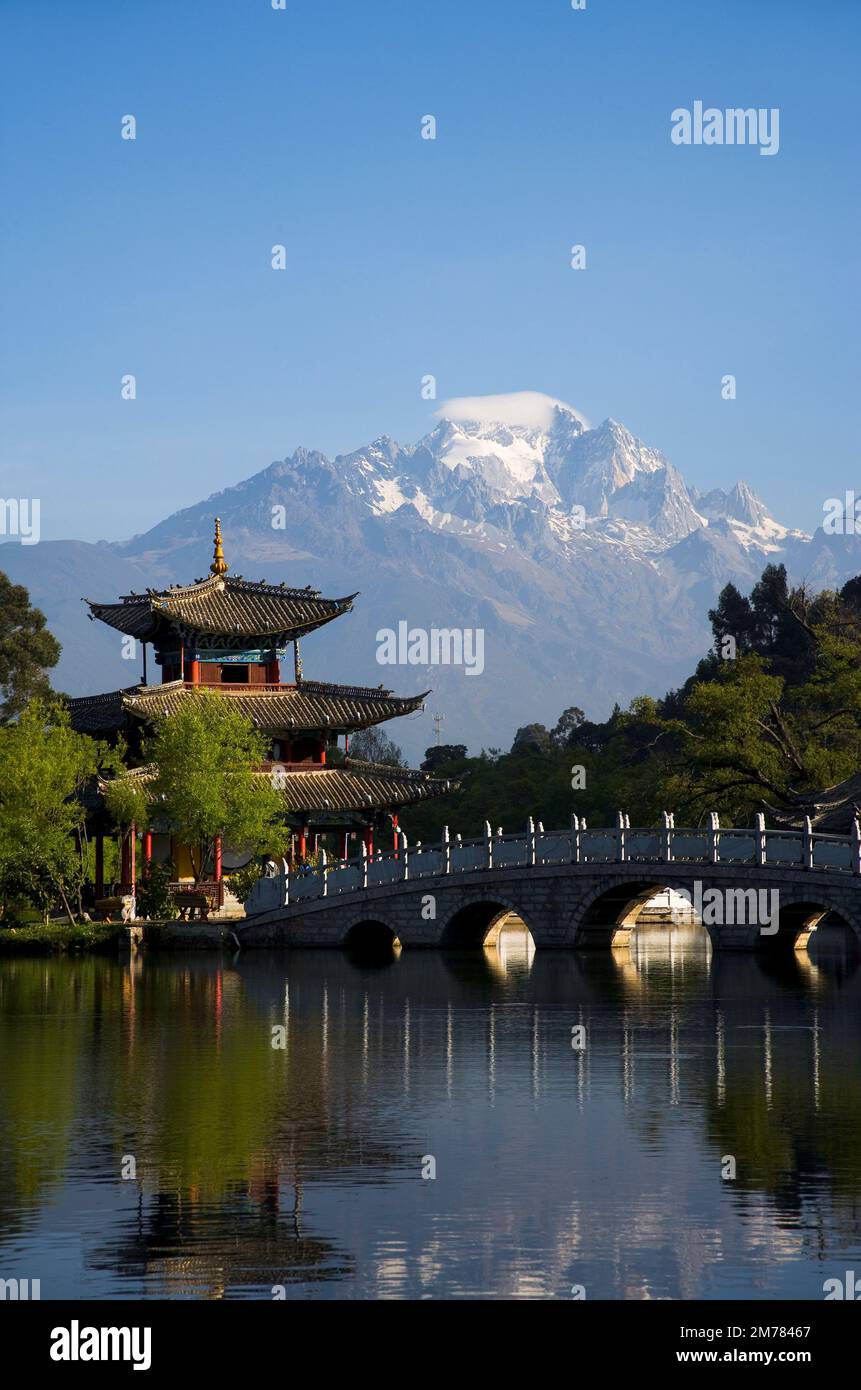 Heilong tan hi-res stock photography and images - Alamy
