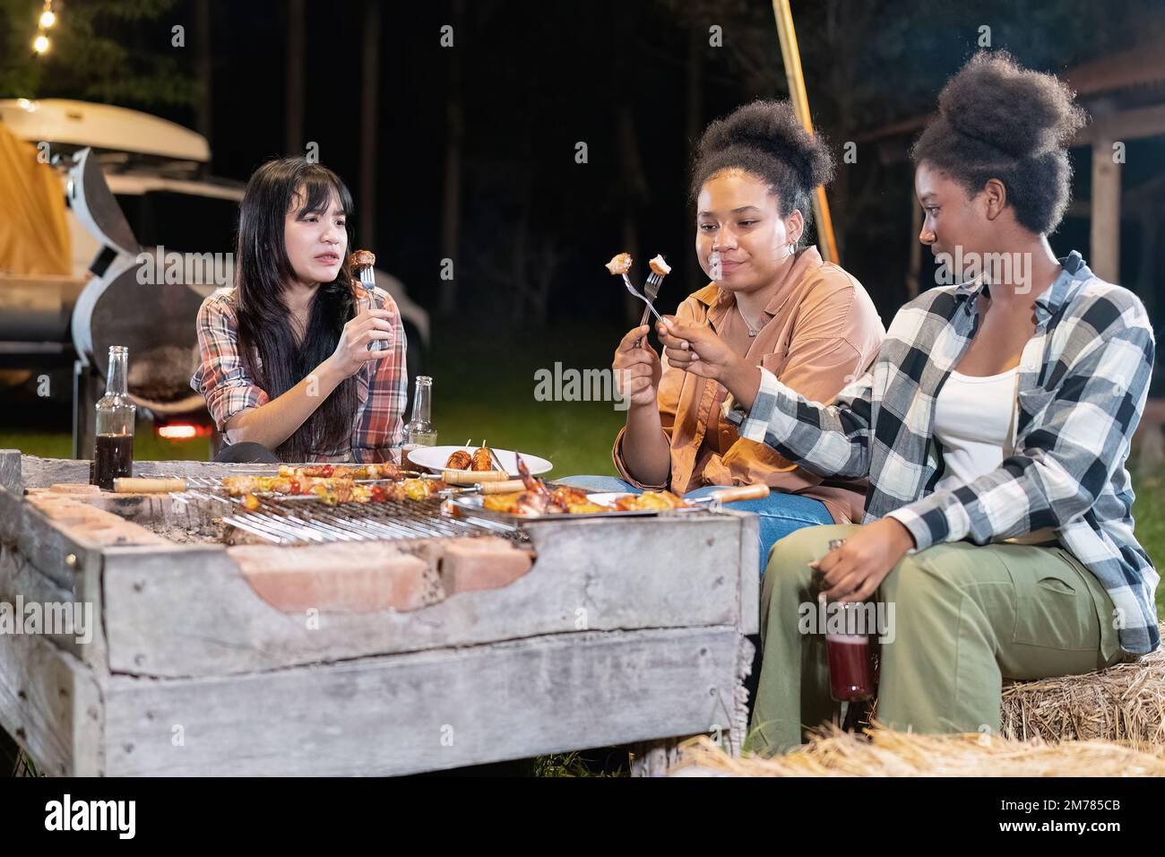 Group of family camper van sitting by fire grilling sausages and ...