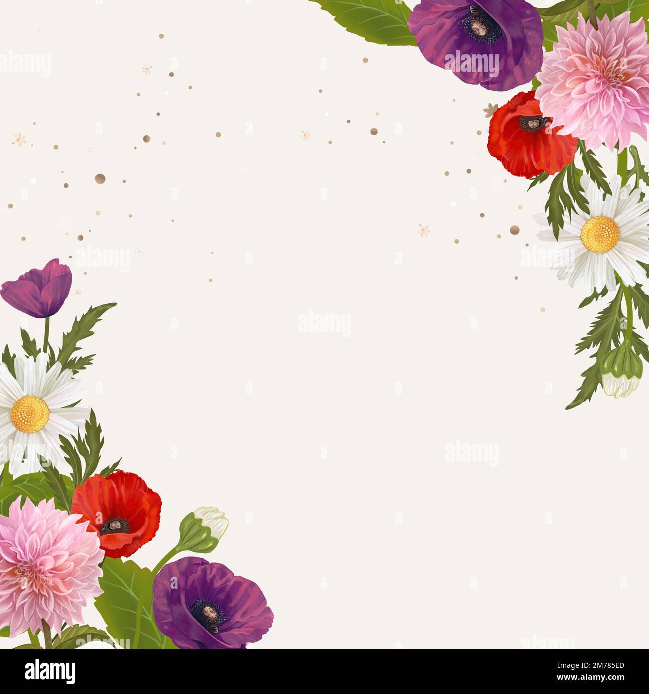 Beautiful floral border design vector Stock Vector Image & Art - Alamy