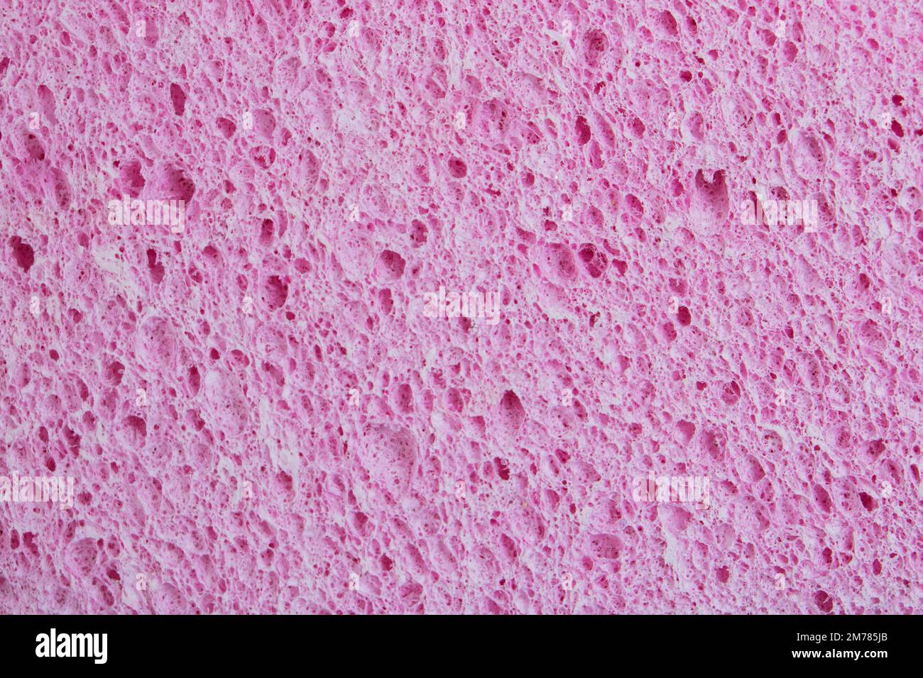 Pink textured porous background. Rubber sponge macro photo. Copy space ...