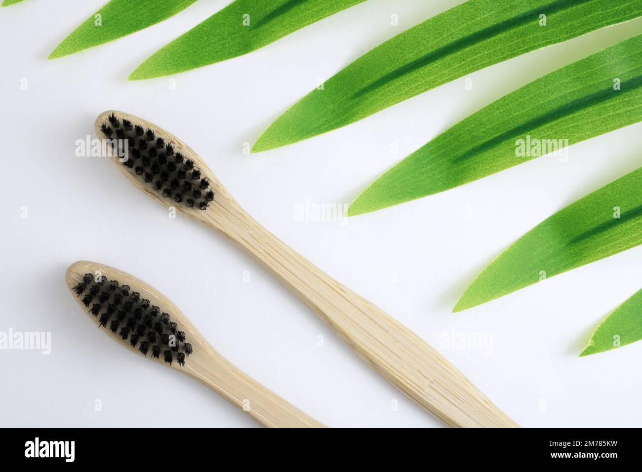 Bamboo toothbrushes on a white background next to a palm leaf. Personal ...