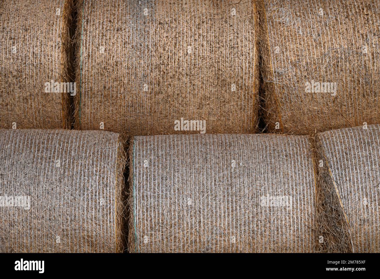 Stacked round hay bales organized neatly for storage in farm barn Stock ...