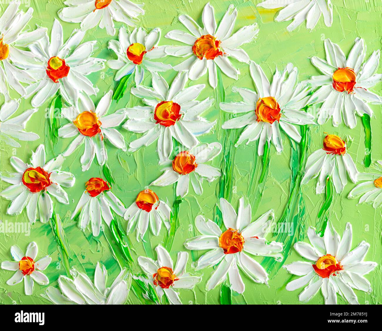Daisy field, miniature oil painting Stock Photo - Alamy