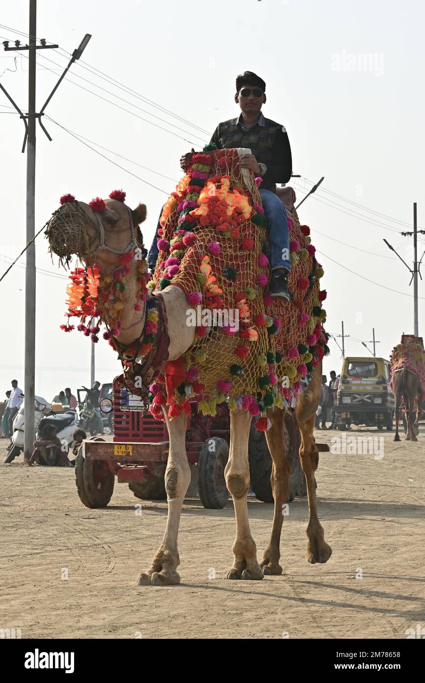 Prayagraj, India. 08th Jan, 2023. Prayagraj : Attractively decorated ...